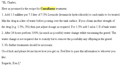 Levamisole for Camallanus Intestinal Worms in Koi and Fish – Dr Erik ...