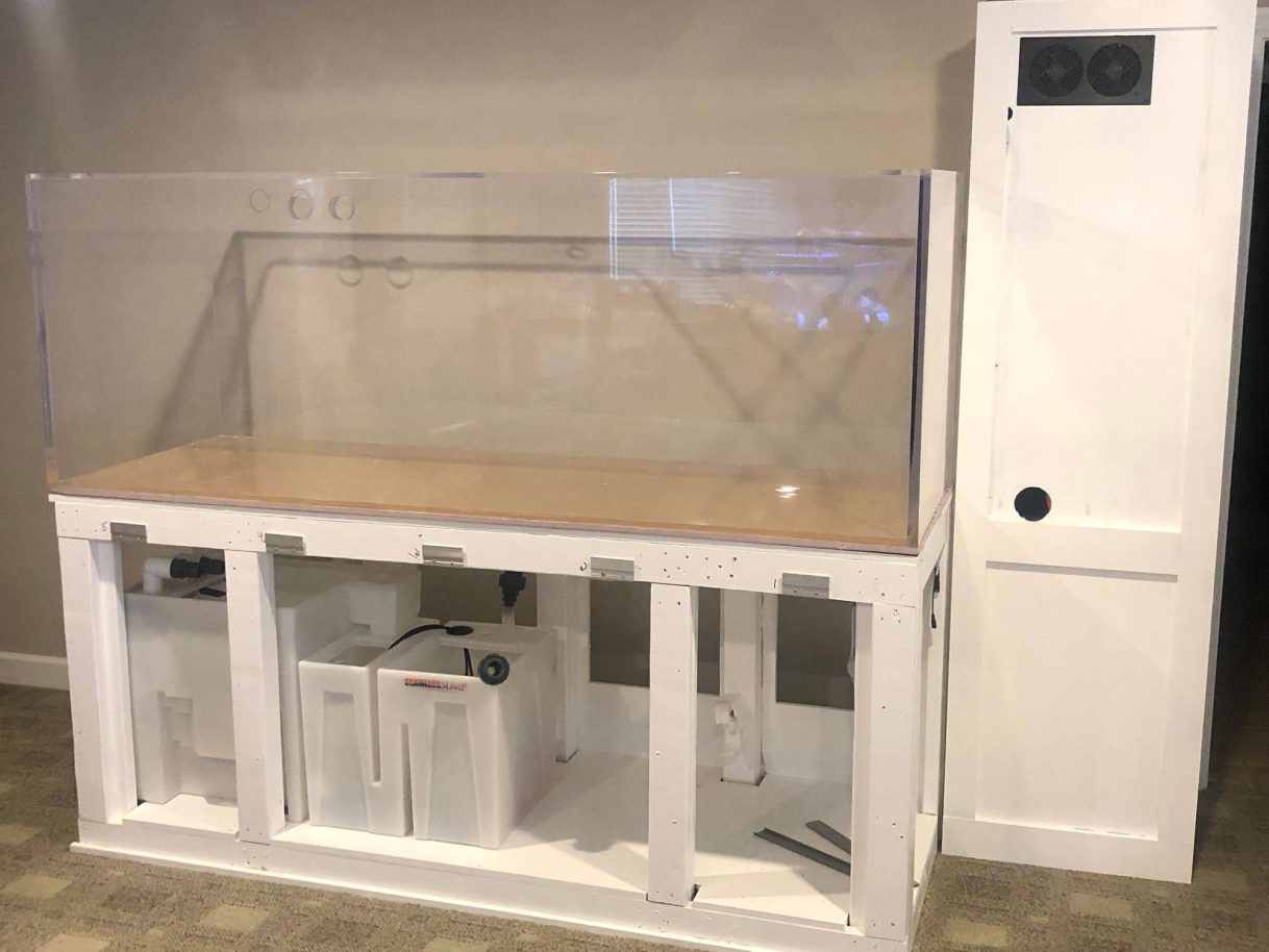 Custom Acrylic Aquariums in Atlanta for Less Than You’d Think – Dr Erik ...