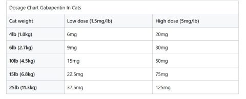 Use of Gabapentin for Cat Issues including Elimination Problems ...