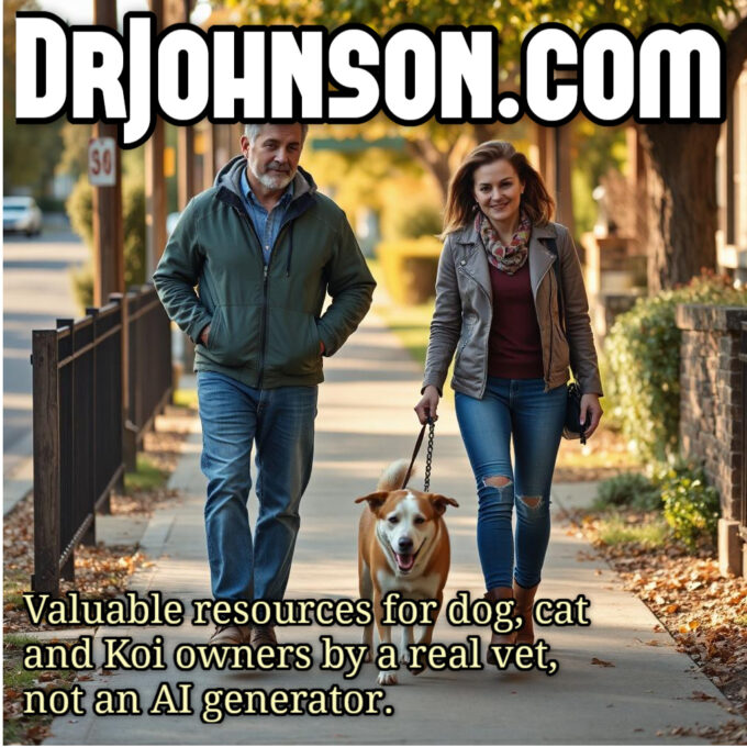 Dramatic Dreams – Dr Erik Johnson – Veterinarian
